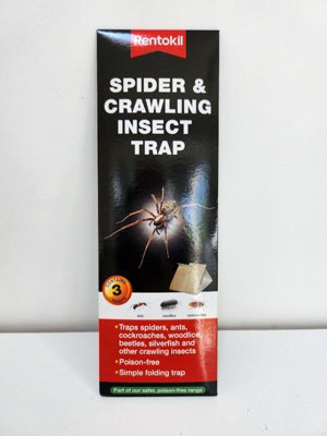 Spider & Crawling Insect Killer, For Home And Other Permises, Effective ...