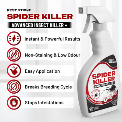 Spider Killer Spray - 500ml- Long-Lasting, Odourless, Fast Acting for ...