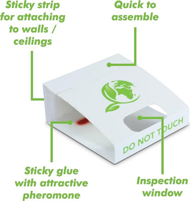 Spider Trap 30 Pack Spiders And Crawling Insect Killer Traps