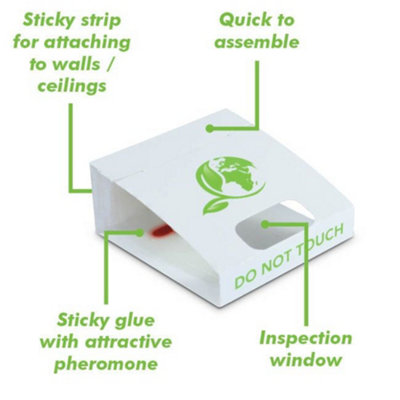 Spider Trap Crawling Insect Killer Child and Pet Safe Beetle Ants ...