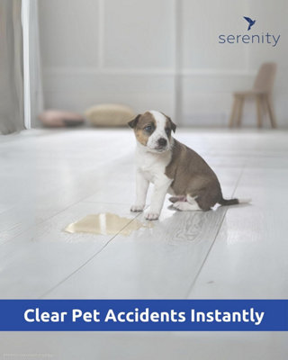 Spill Absorb Instant Liquid Clean Up 2.5 KG Tub