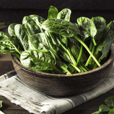 Spinach Monnopa 1 Seed Packet (500 Seeds)