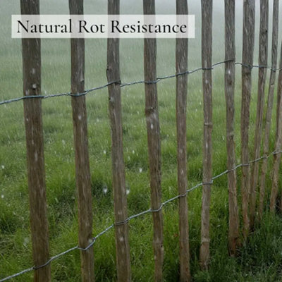 Split Hazel Fencing Roll 5m x 0.6m