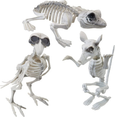 Spooky Halloween Animal Skeletons - Creepy Creepy Dead Bones Crow, Frog ...