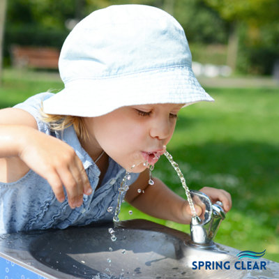 SpringClear Chrome Drinking Fountain Bubbler Tap - Polished Finish - 3/ ...