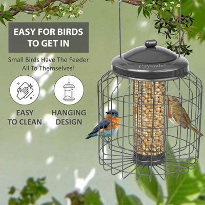 Squirrel Proof Hanging Bird Nut Peanut Feeder Heavy Duty Garden Wild Birds