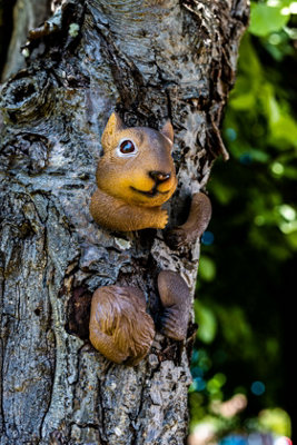 Squirrel Tree Peeker Garden Ornament