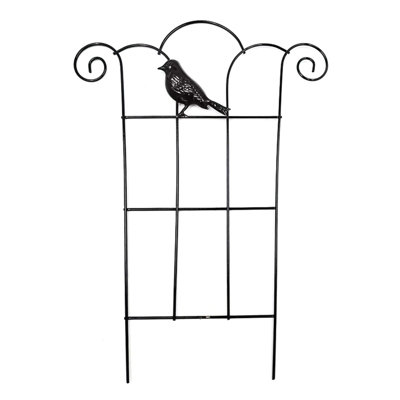 Stainless Steel Garden Trellis for Climbing Vines and Plant Support