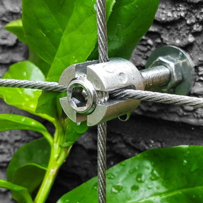 Stainless Steel Lattice Trellis Kit A - 3M x 3M Wire Rope / Cable ...