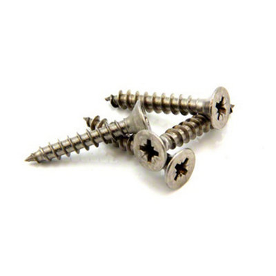 Stainless Steel Screws for Crafts, DIY, Construction - 10mm dia head x ...