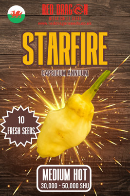 Starfire Chilli Seeds - 10 Fresh Seeds