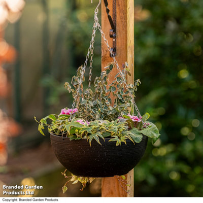 Stone Effect 35cm Hanging Basket Planter Outdoor Black with Spot