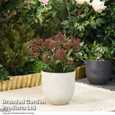 Stone Effect Garden Planter 30.5cm Diameter in Ivory for Outdoor Patio ...