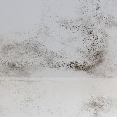 Stonecare4U - Anti-Mould Paint - Pale Slate (2.5L) Bathroom, Kitchen ...