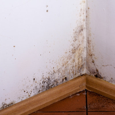 Stonecare4U - Anti-Mould Paint - Pale Slate (2.5L) Bathroom, Kitchen ...