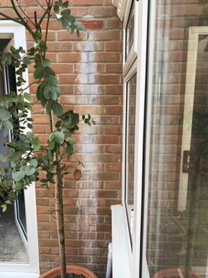 Stonelux Brick Coating - Brick Effect Paint - Medium Buff - 1 Litre