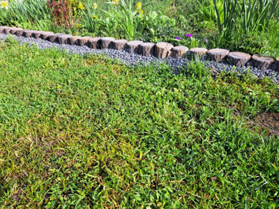 Stonewood Tree Log Brown Paving Edging (40pcs, 14.6Lm)