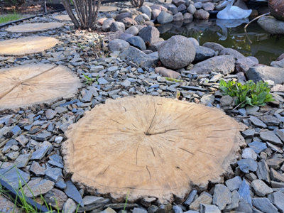 StoneWood Tree Stump Brown Stepping Stone with Bark (Pack of 20)