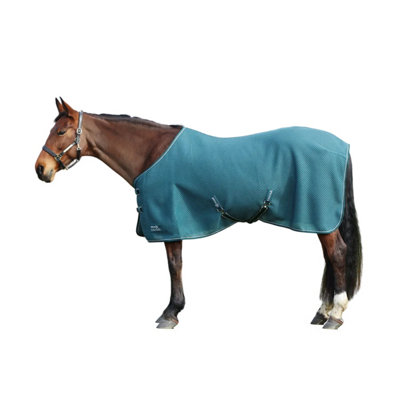 StormX Empra 3D Horse Rug Teal (5 3")