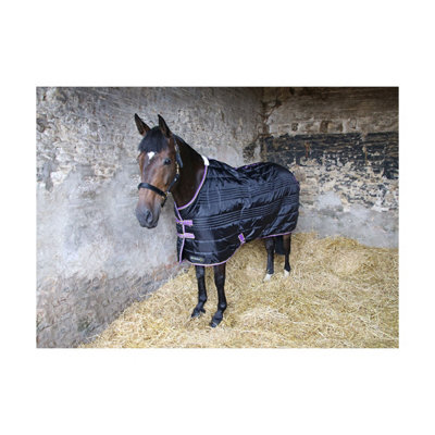 StormX Original 200 Standard-Neck Horse Stable Rug Black/Purple (7 3 ...