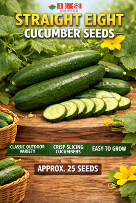 Straight Eight Cucumber Seeds for Kitchen Garden Growing