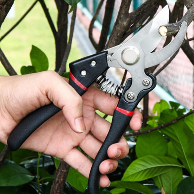 Professional tree pruner store