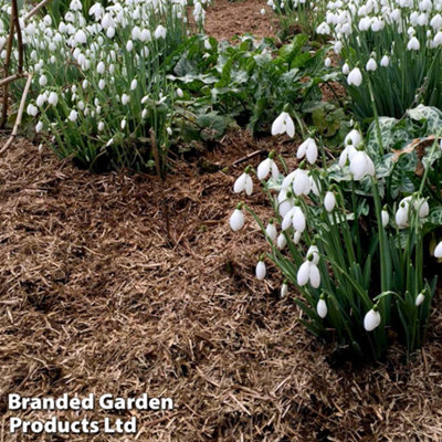 Strulch Mineralised Straw Garden Mulch - 100 Litre Bag x 20 - Natural ...