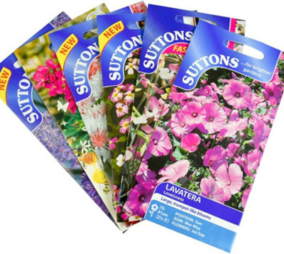 Summer Flowering Lily Giant Oriental Collection 24 Bulbs + 5 Seeds ...