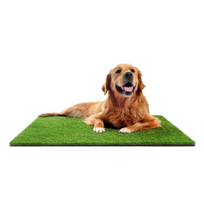 Summer Turf 30mm Artificial Grass (1m x 2m) Polyethylene | DIY at B&Q