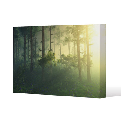 sun, trees in a haze of light, glowing fog among the trees (Canvas ...