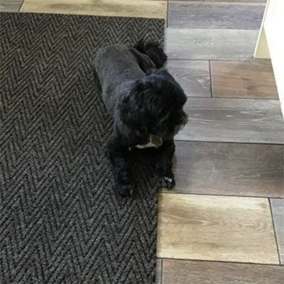 Super Magnum & Magnus Entrance Matting by Remland (Chevron Anthracite ...