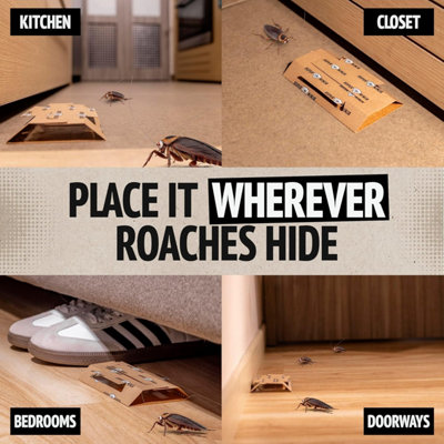 Super Ninja Cockroaches Killer - 12 Traps - Highly Effective Ecological ...