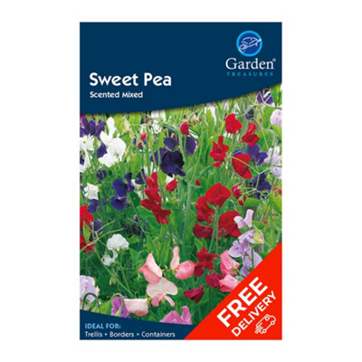 Sweet Pea Scented Mix (Lathyrus odoratus) | DIY at B&Q