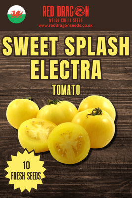 Sweet Splash Electra Variegated Tomato Seeds - 10 Fresh Seeds