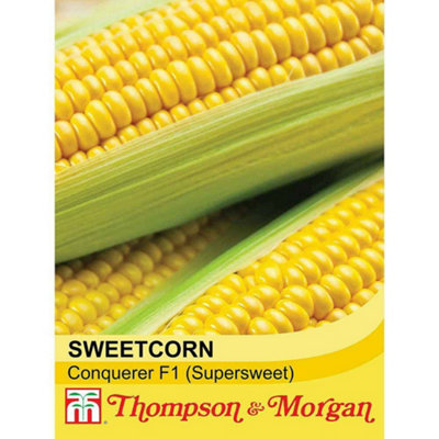 Sweetcorn Conqueror F1 Hybrid 1 Packet