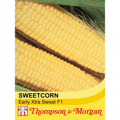 Sweetcorn Early Xtra Sweet F1 Hybrid 1 Seed Packet (30 Seeds)
