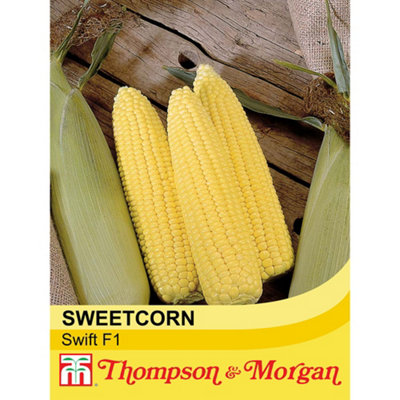 Sweetcorn F1 Swift 1 Seed Packet (35 Seeds) | DIY at B&Q
