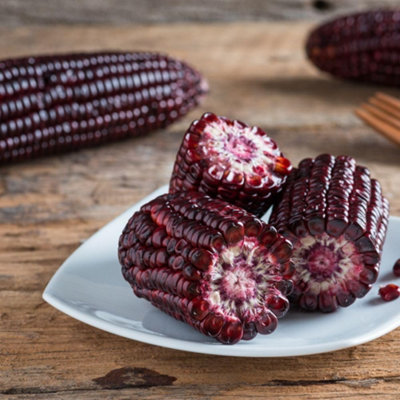 Sweetcorn Ruby Gem - Vibrant Red & Purple Kernels Early Maturing Unique ...
