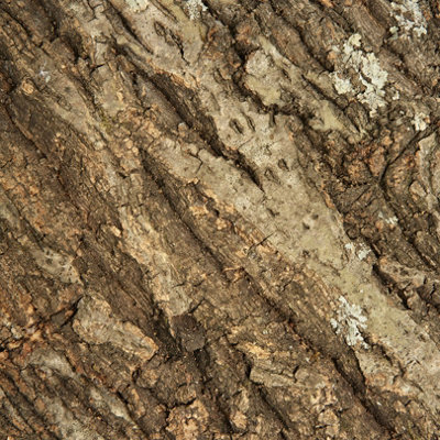 Swell Reptiles Cork Tile Background 20 x 30cm