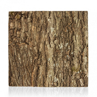 Swell Reptiles Cork Tile Background 45 x 45cm
