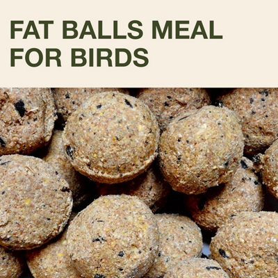 Swissinno Lucerne Bird Feeder for Fat Balls Light Blue