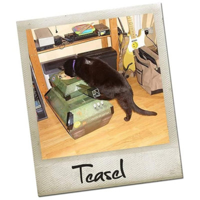 Tank Cat House Cardboard Kitten Toys & Cat Bed