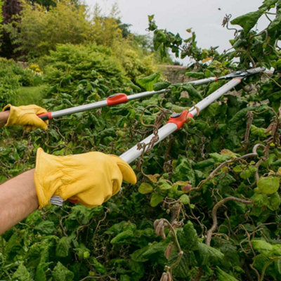 Limb Loppers Telescopic Anvil Loppers SK Carbon Steel 2 Inch Cut ...