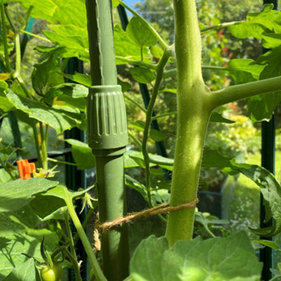 Telescopic Extendable Tomato, Cucumber & Climbing Plant Support Stakes ...