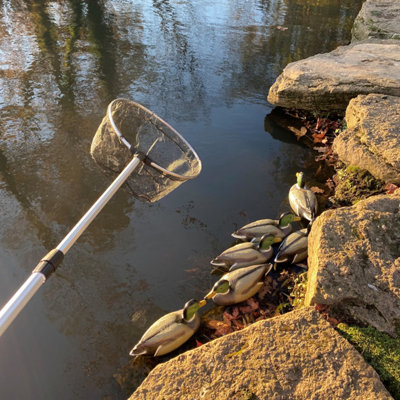 Telescopic Pond Net with Long Handle for Cleaning (190cm)