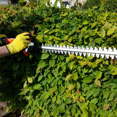 Terratek Cordless Hedge Trimmer 20V Easy Cut Lightweight Handheld Cutter