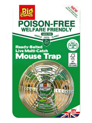 Buy The Big Cheese, Poison-Free, Ready-Baited, Live Multi-Catch Mouse ...