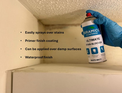 The Damp & Stain Block Spray - Matt White, 400ml Spray