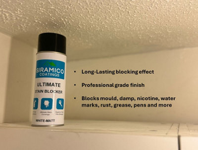 The Damp & Stain Block Spray - Matt White, 400ml Spray