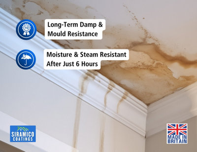 The DampSeal One Coat - 2.5 Litre - Matt White - Seals damp and mould stains in one coat by ...